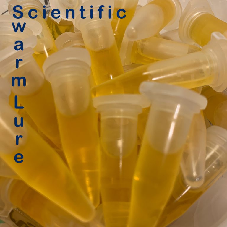 Queen Cell Protectors (Top Bar) | 50 Count | World of Honey