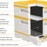HiveIQ Insulated Smart Hive Kit | World of Honey